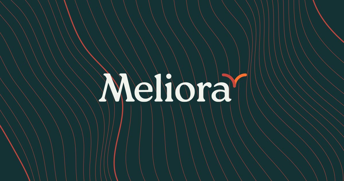 Meliora Team | Meet Our Experts