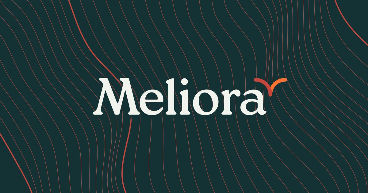 Meliora | Strategic Product Development Advisory & Ventures